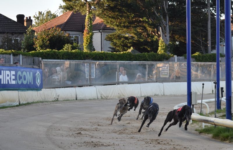 Romford greyhound racing faces uncertain future as it becomes London's ...